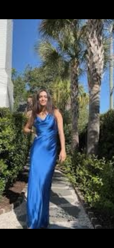 New Women's Veronica Beard Sanderson Stunning Satin Gown Dress in Azure ...