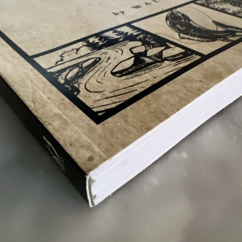 Shepherding Outdoors: Short Stories from a Southern Father by Walt ...