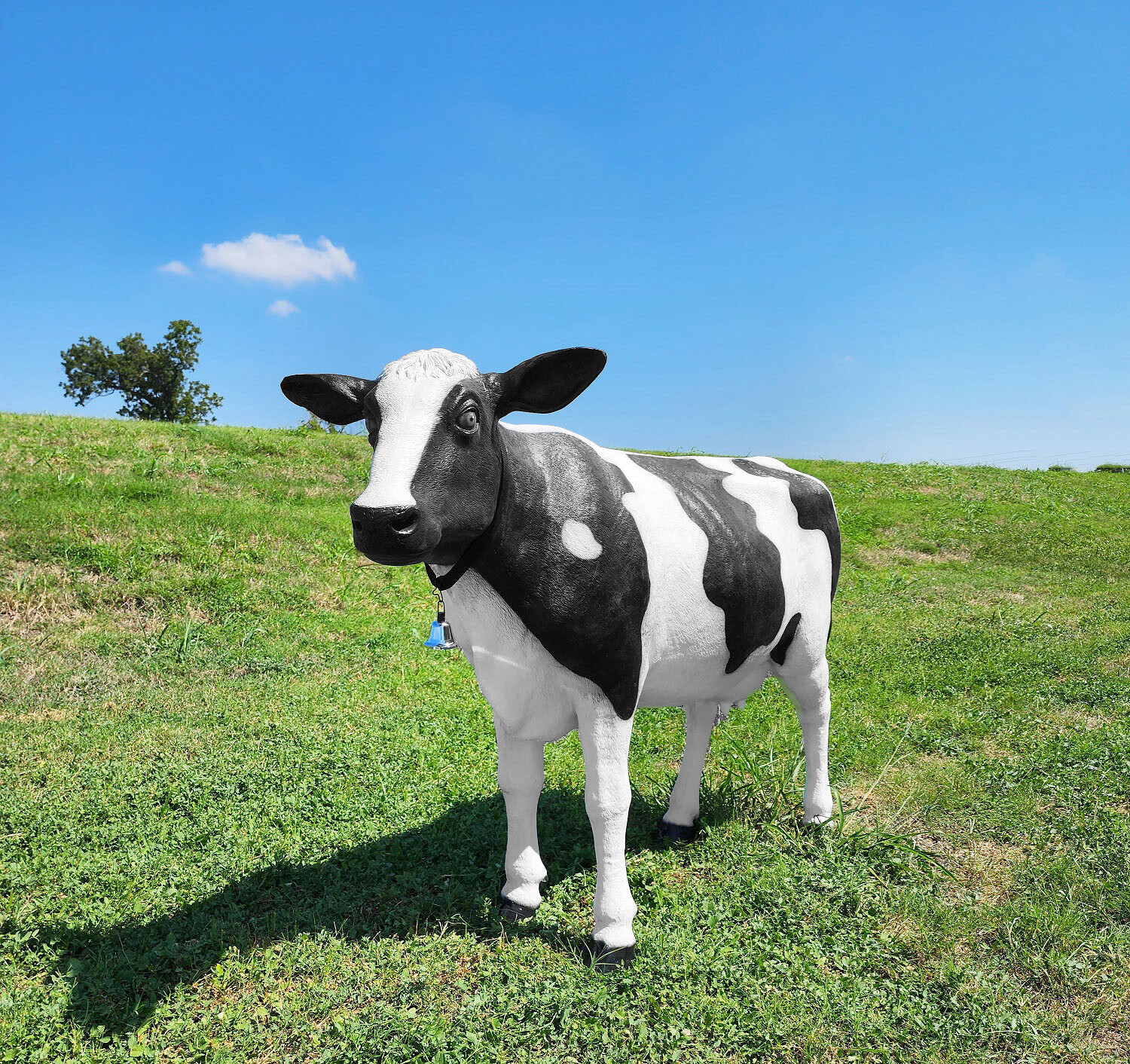 Cow Life Size Statue - Large Cow Statue Black and White Statue - Indoor ...