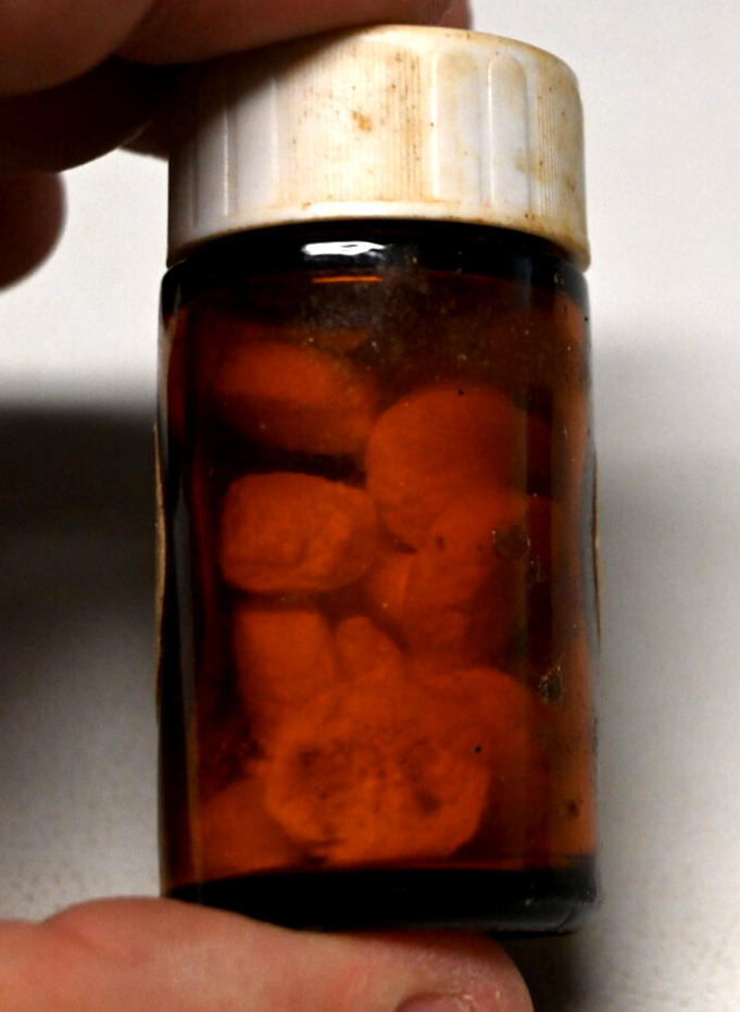 Vintage AquaSport Diving Doodle Bug DDB2 Goldfish in Box + Bottle of ...