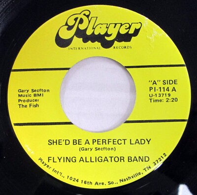 FLYING ALLIGATOR BAND 45 She'd Be A Perfect Lady /You Can't Take NEAR ...