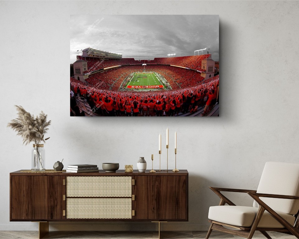 Ohio State Football Stadium Canvas Décor Art Print Room Painting | eBay