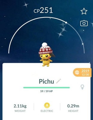 Pokemon Shiny Costume Pichu (Beanies Hat) Guaranteed Lucky 100% Go | eBay