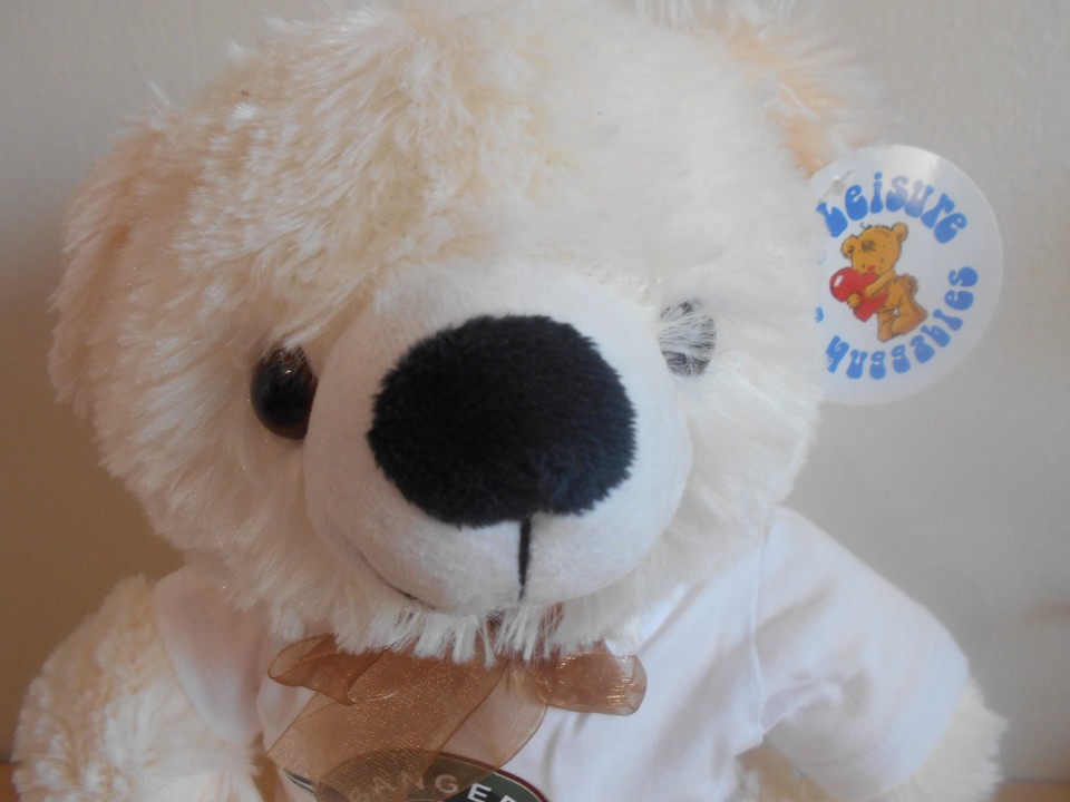 BANGERS & CASH BEAR | eBay UK