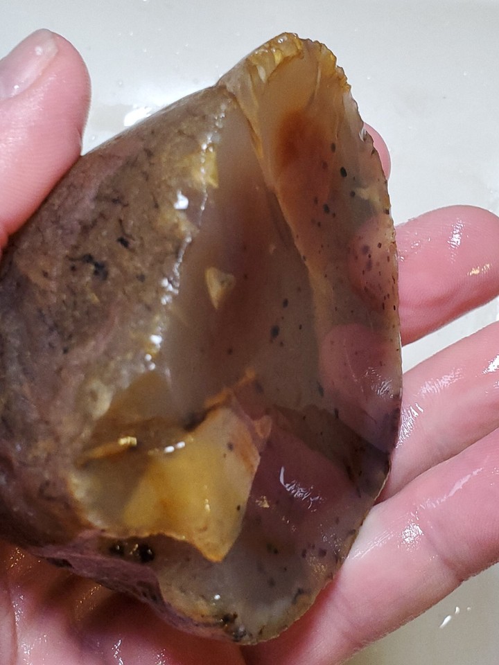 Montana Yellowstone River Agate Rare Sagenite Lapidary 390g Rough ...