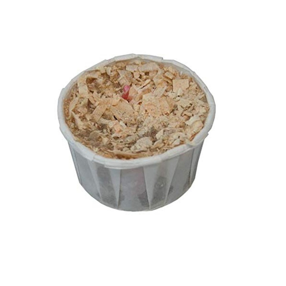 Fire Starters - 65 Pack with Storage Bucket - Great for Fireplace, Wood ...