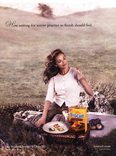 NABISCO AD #06 MAGAZINE promo AD 2008 TRISCUIT | eBay