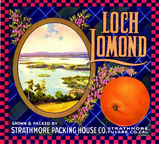 Strathmore Loch Lomond Scottish Scotland Orange Citrus Fruit Crate ...