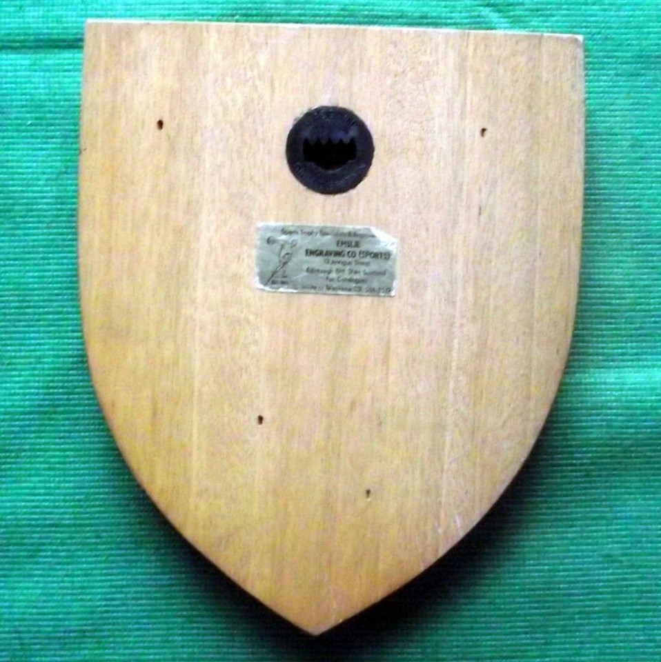 Obsolete Northumberland Northumbria Police Crest Plaque Shield | eBay