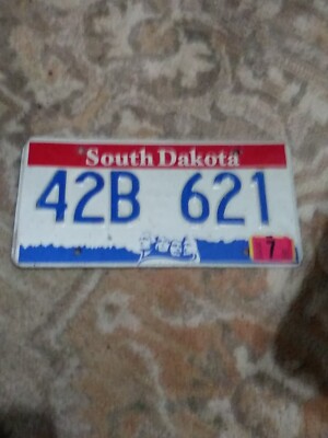 Vintage South Dakota SD License Plate Tag Mt Rushmore "42B 621" | eBay