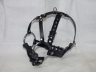 male RUBBER BIT GAG PONY PLAY bdsm real leather locking fetish ball ...