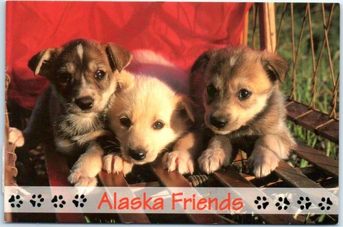 Postcard - Alaska Friends | eBay
