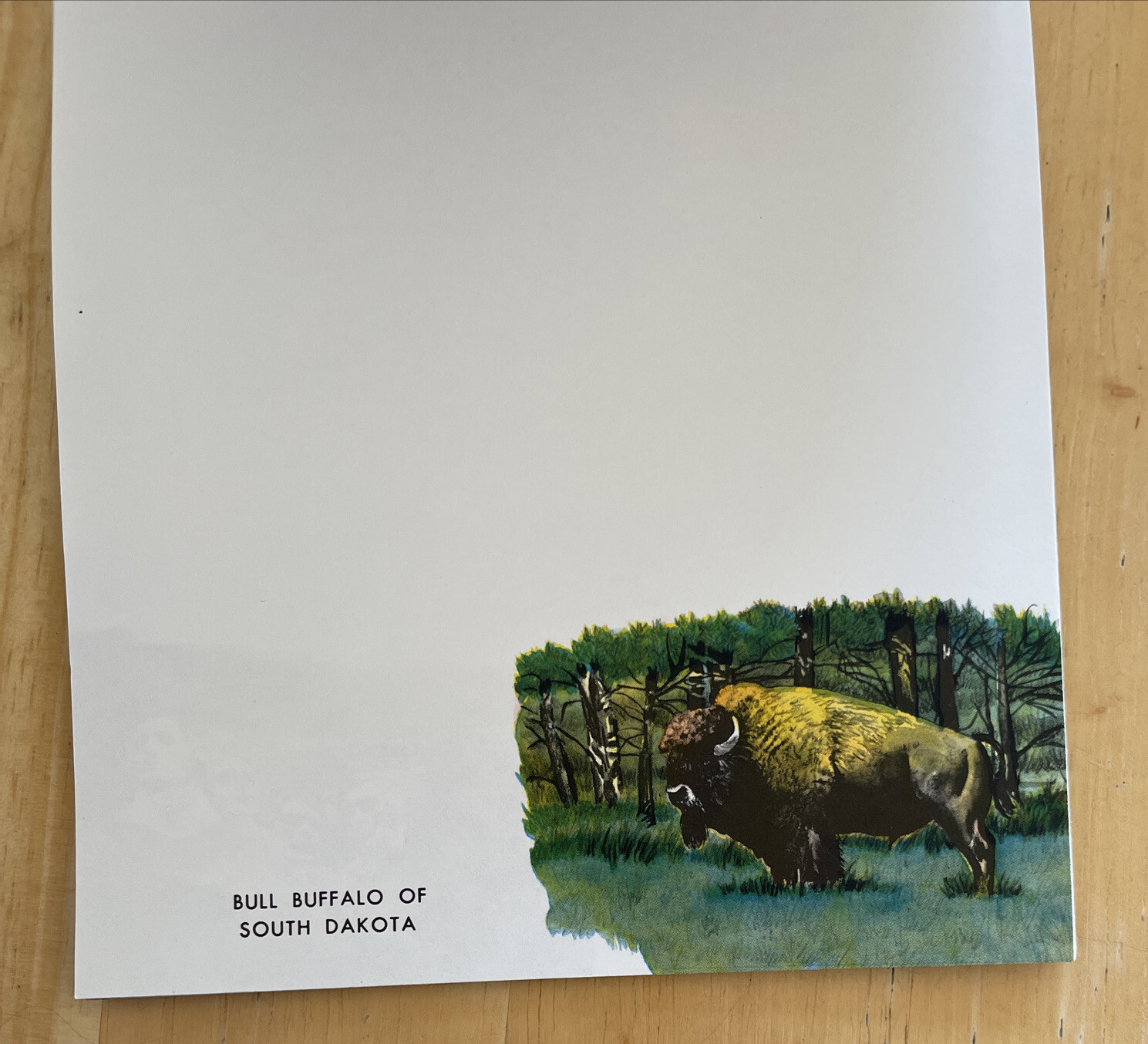 MOUNT RUSHMORE Note Pad #4861 Vintage Vagabond Stationery | eBay