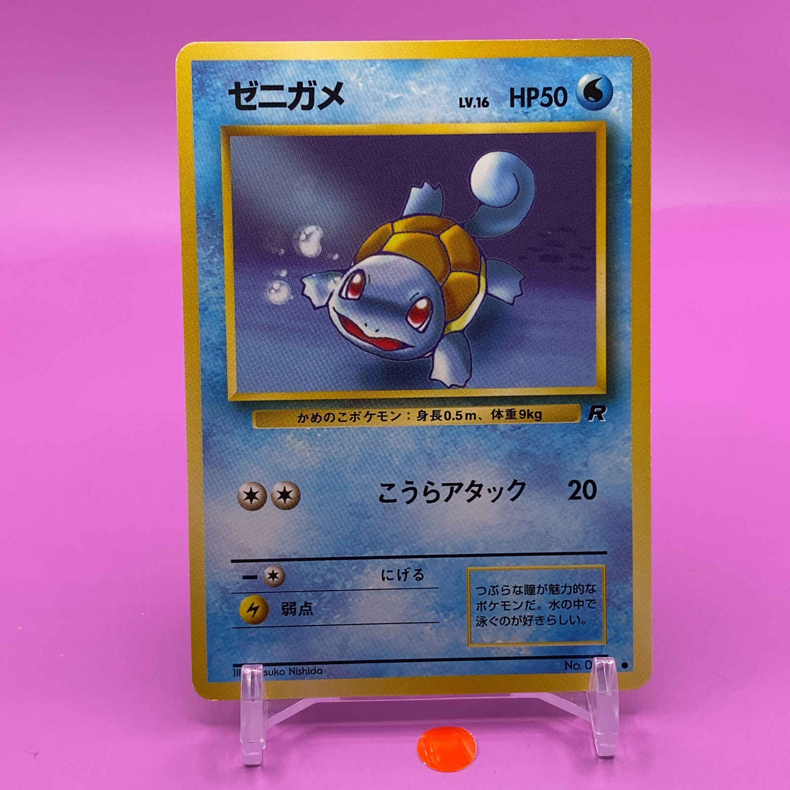 Squirtle Deal With It