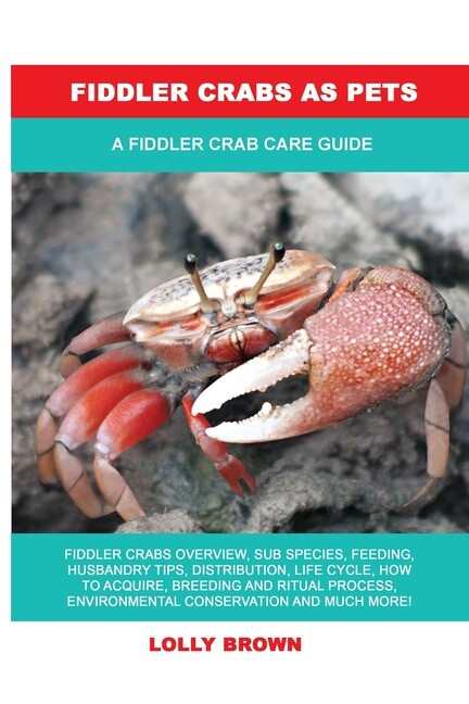 Fiddler Crabs As Pets : A Fiddler Crab Care Guide by Lolly Brown (2022 ...