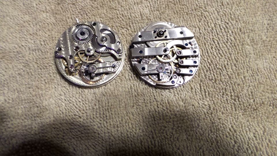Agassiz with Fish on The Movement & Japy Freres Pocket Watch Movements ...
