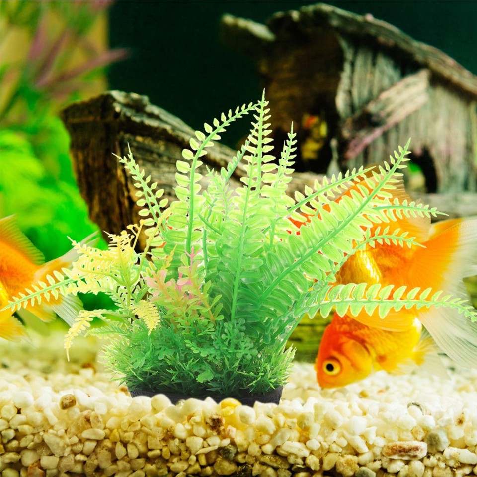 Realistic Fake Plant Model Simulated Plant Model Fish Tank Layout Plant ...