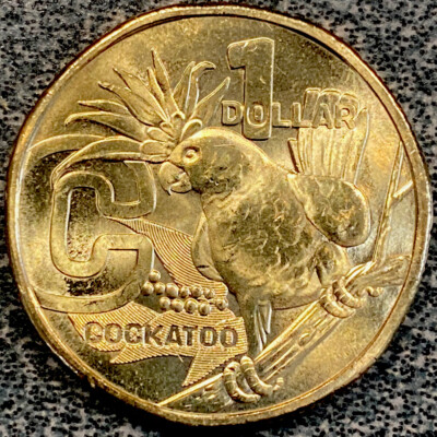 🐥 2022 AUSSIE BIRD COIN $1 From a New Roll Gold Colour 🌈 Collectable ...