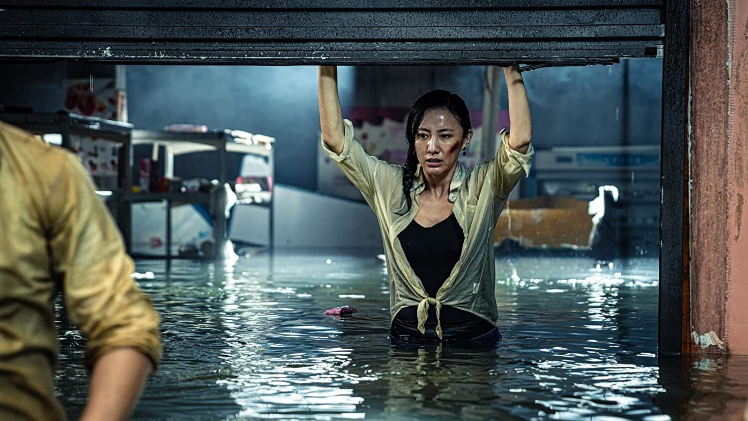 Croc Tsunami (DVD) Fei Rong Yinglu Wang Lau Canti Daniella Weimin Huo ...