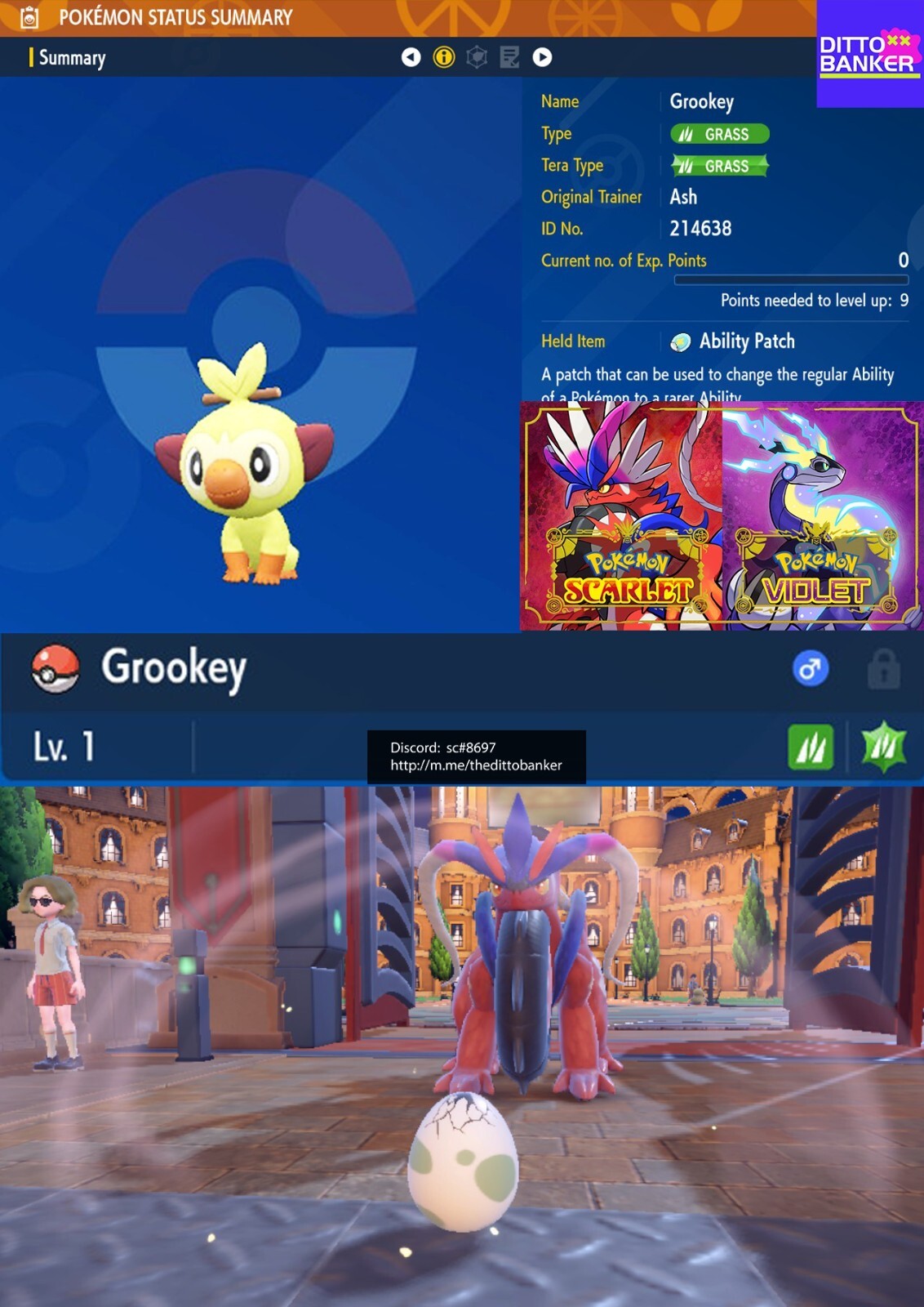 Pokemon Scarlet/Violet SHINY GROOKEY EGG 6IV Lv.1 Adamant Hatch Your ...