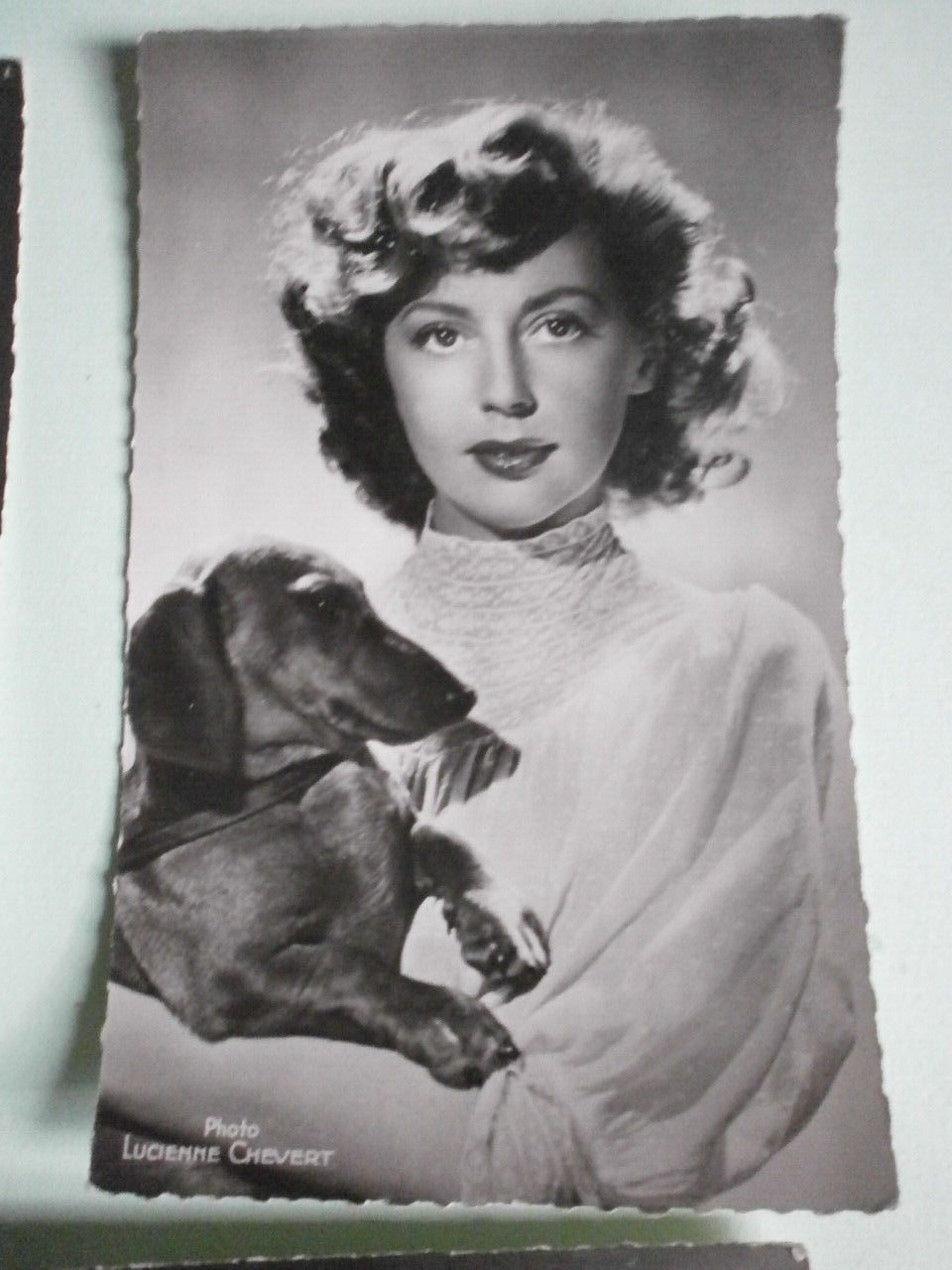 Lot de 5 cartes postales vintage CINEMA Ed Globe ph.Studio PIAZ et L ...