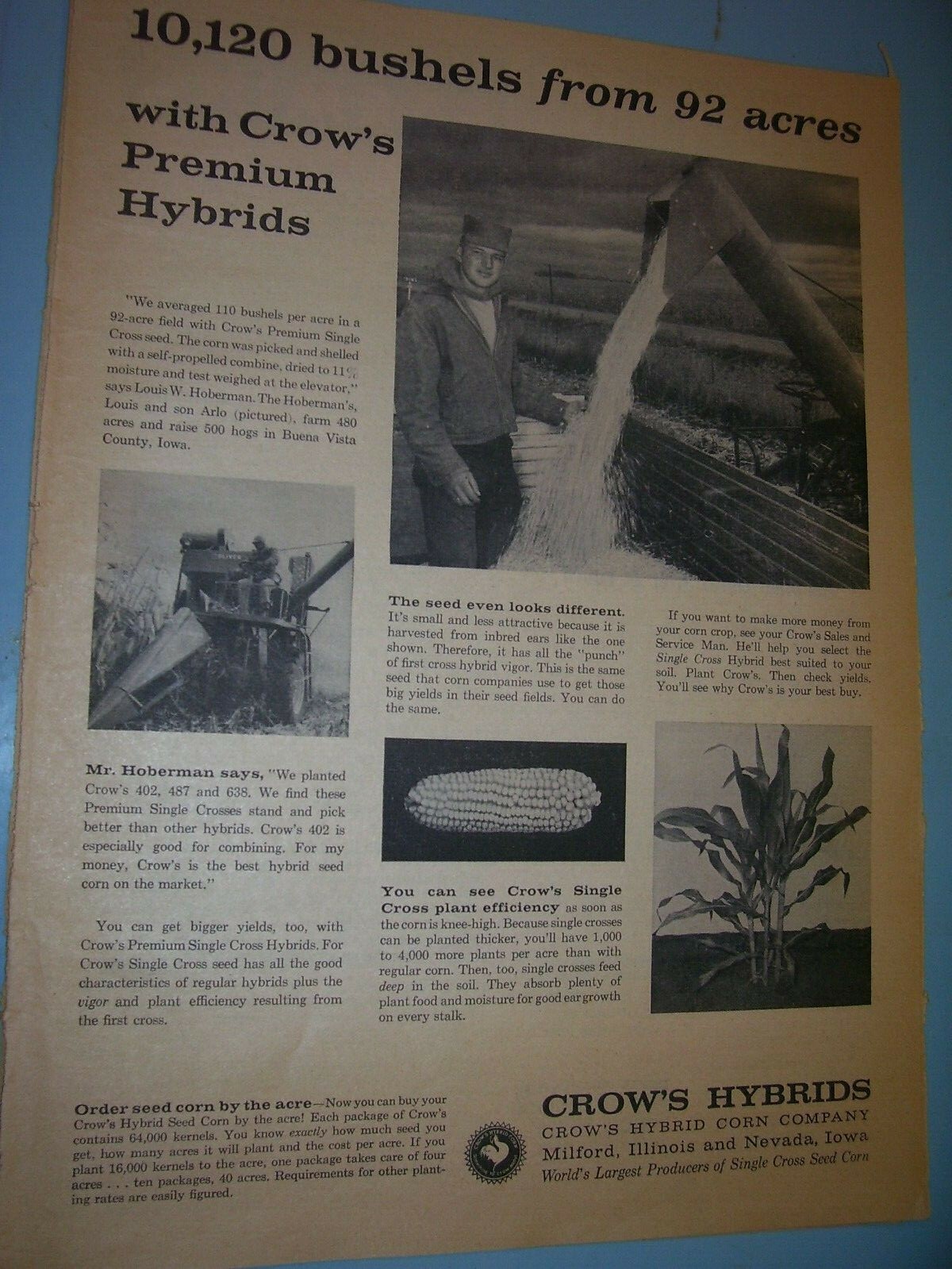 VINTAGE SEED CORN ADVERTISING -10" x 14" -CROWS HYBRID SEED CORN - 1959 ...