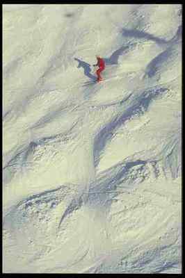 061036 Bump Running Alta Utah A4 Photo Print | eBay