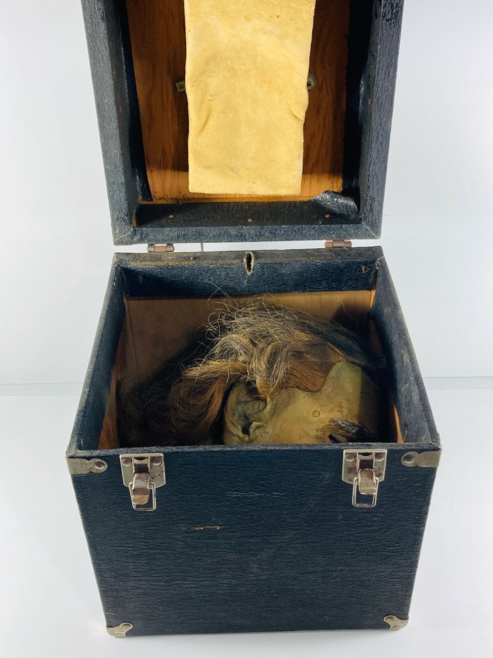 Antique Head of John the Baptist Sideshow Circus Carnival Gaff w/ Box ...