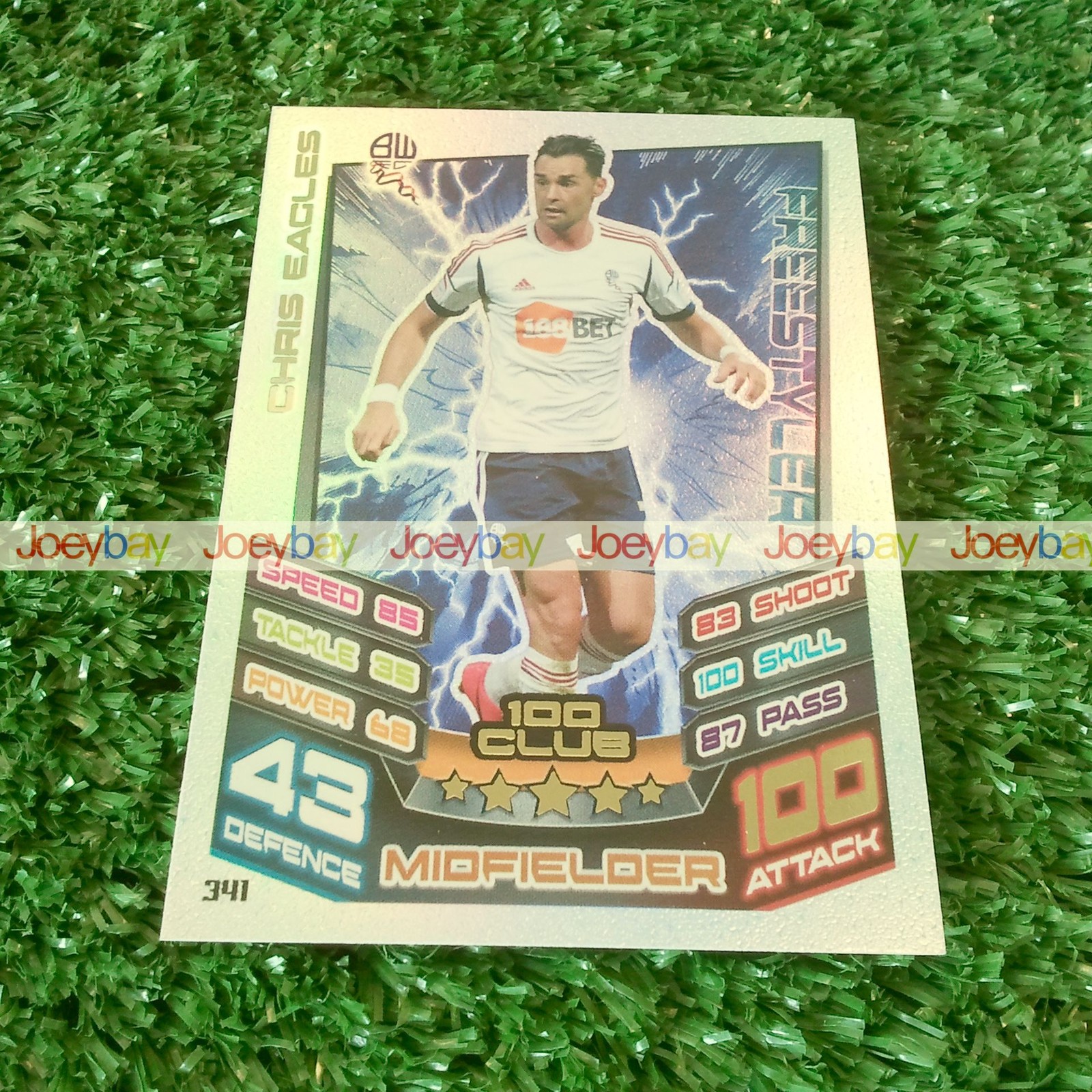 12/13 CHAMPIONSHIP 100 CLUB LIMITED EDITION MATCH ATTAX HUNDRED CARD ...