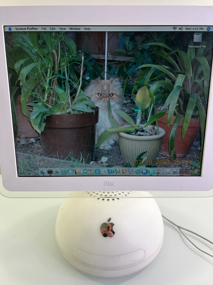 Vintage Apple iMac PowerPC G4 700Mhz 384MB RAM 40GB HDD | eBay