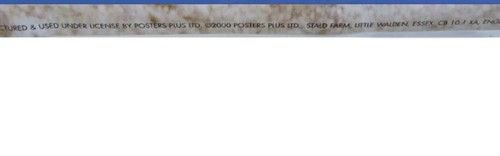 ROLLED NOS 2000 STRINGFELLOWS SeXy BeacH MODEL PIN UP CHEESECAKE POSTER ...