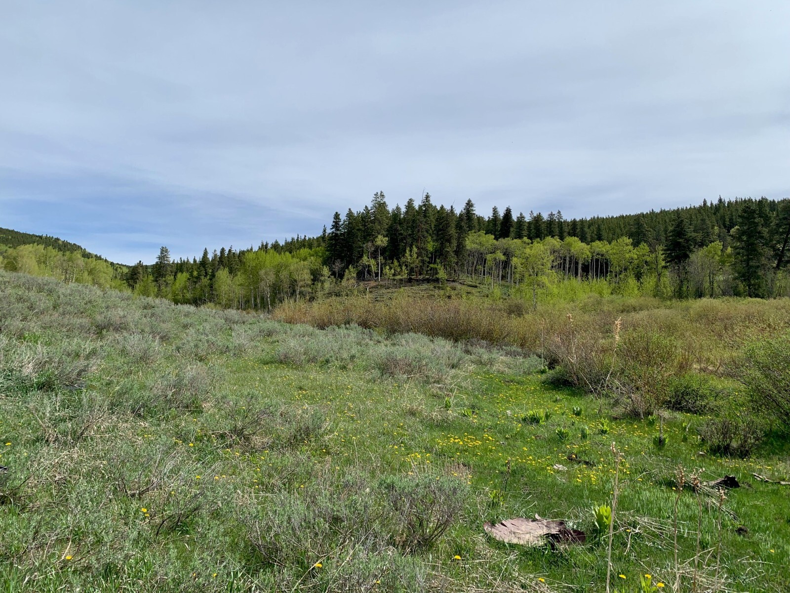 Ghost Town of Bowerman, Colorado, 10.3 Acres, 2 Gold Mines and Hot ...