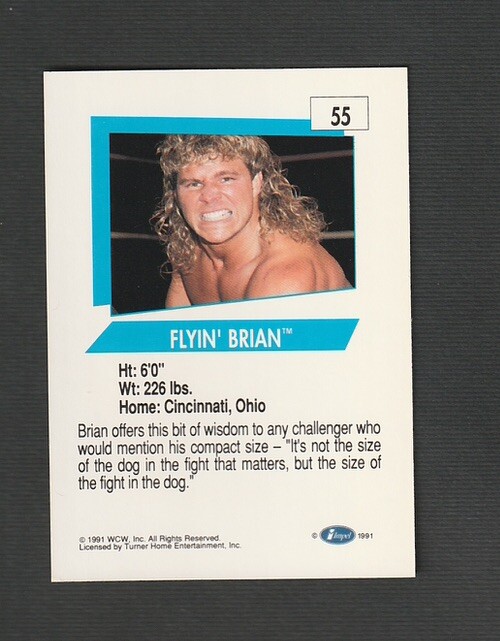 1991 Impel WCW Flyin' Brian #55 | eBay
