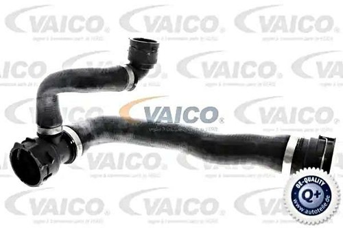 Thermostat Engine Radiator Pipe Hose Fits BMW E60 Sedan 2003-2010 | eBay