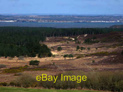 Photo 6x4 Viewpoint on B 3351 looking north New Buildings/SY9980 c2008 ...