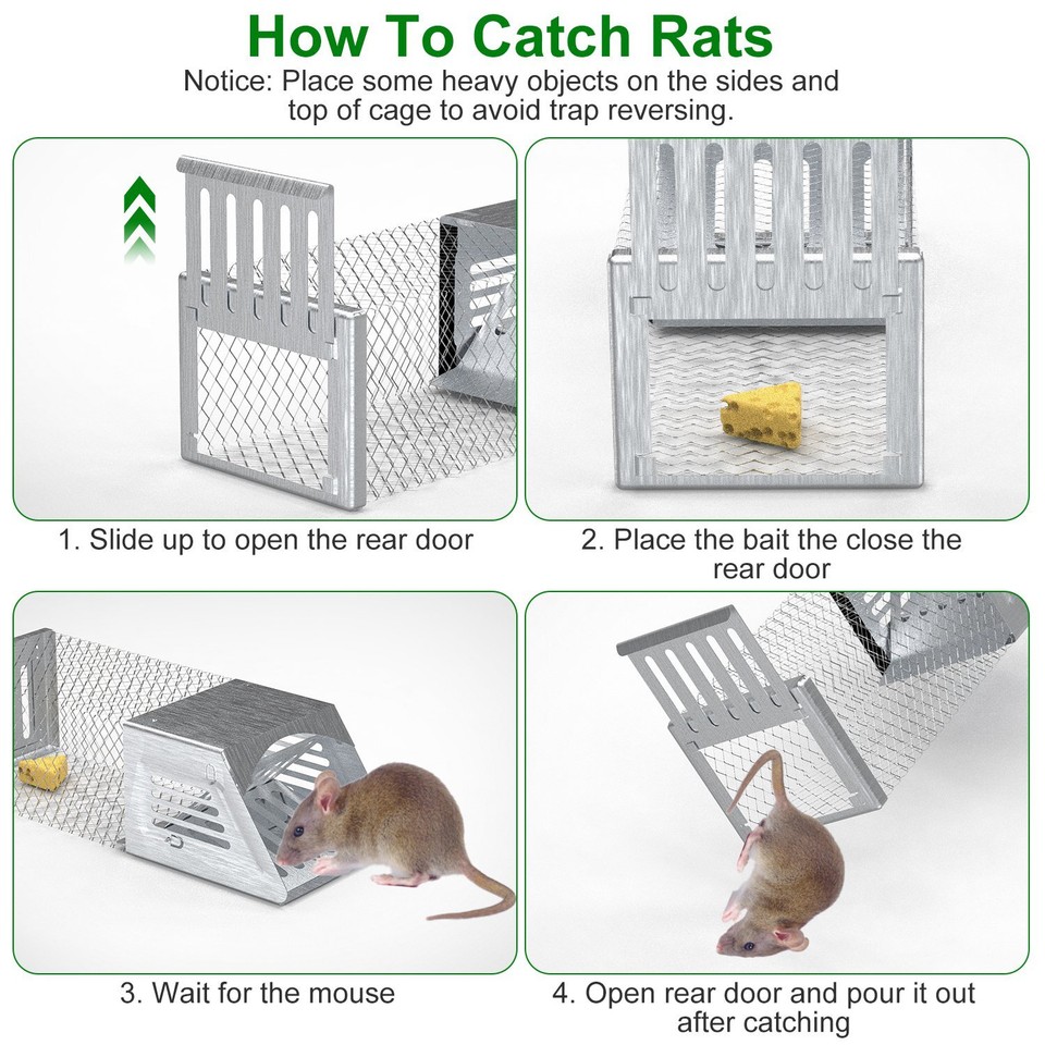 2 Pack Metal Humane Mouse Traps Live Cage Catch and Release Mouse trap ...