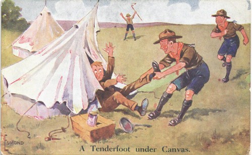 Boy Scout Comic. Tenderfoot under Canvas by Esmond in Scouts in Action ...