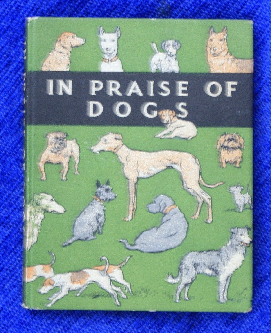 Book of dogs in poetry, art, images, bravery 64 pages IN PRAISE OF DOGS ...
