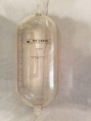 Cattle - Dairy - De Laval Milking Machine