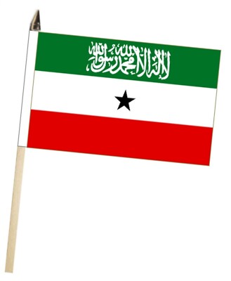 Somaliland Large Hand Flag With Wooden Pole (18" x 12") | eBay