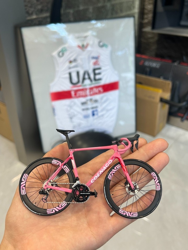 custom 1/12 scale colnago v4rs road bike resin model need 30days | eBay