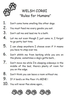 Welsh Corgi "Rules for Humans" - CUSTOM MATTED - Dog Art Print : GIFT ...