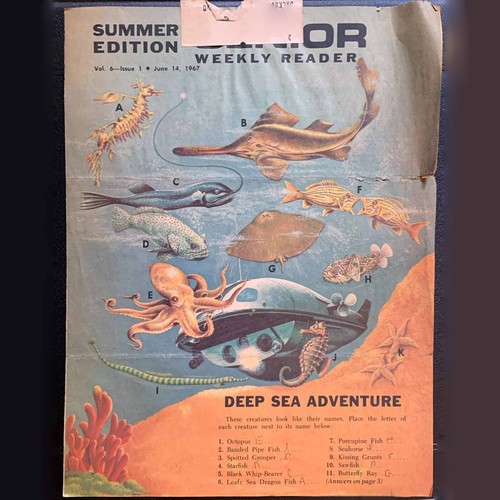 1967 Senior Weekly Reader Summer Edition June 14 Sardis Swimmer Optical ...