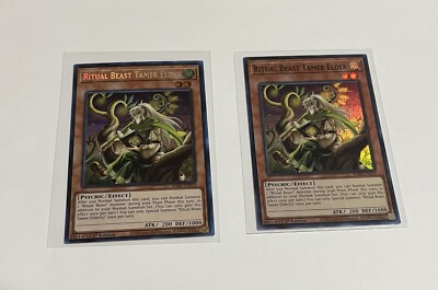 Yu-Gi-Oh! Ritual Beast Tamer Elder #RA03-EN012 Secret Rare & Super Rare ...