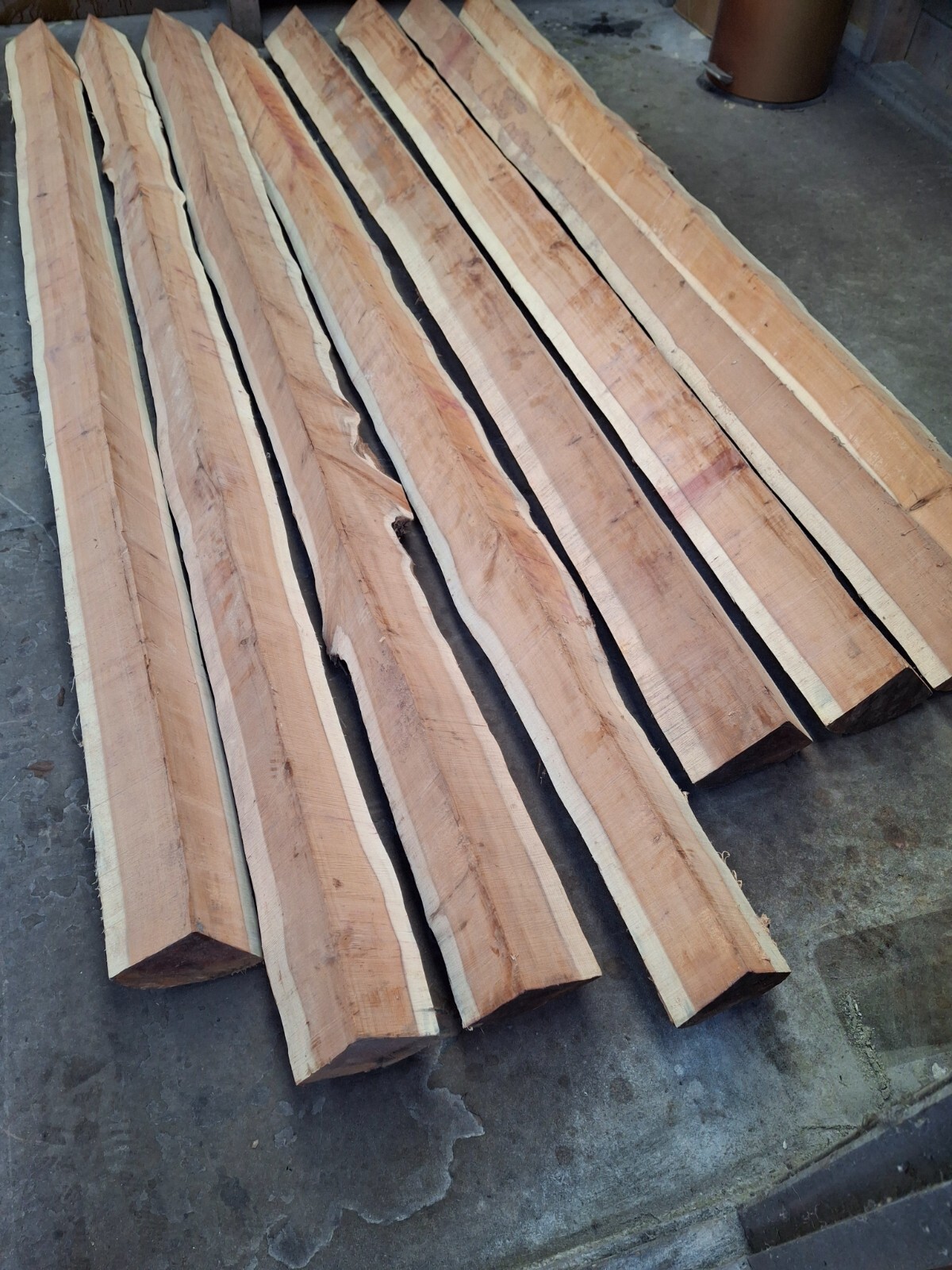 ENGLISH YEW LONGBOW STAVES | eBay