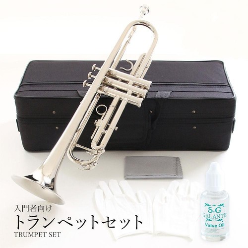 Beginner'S Introduction Set Trumpet Silver | eBay