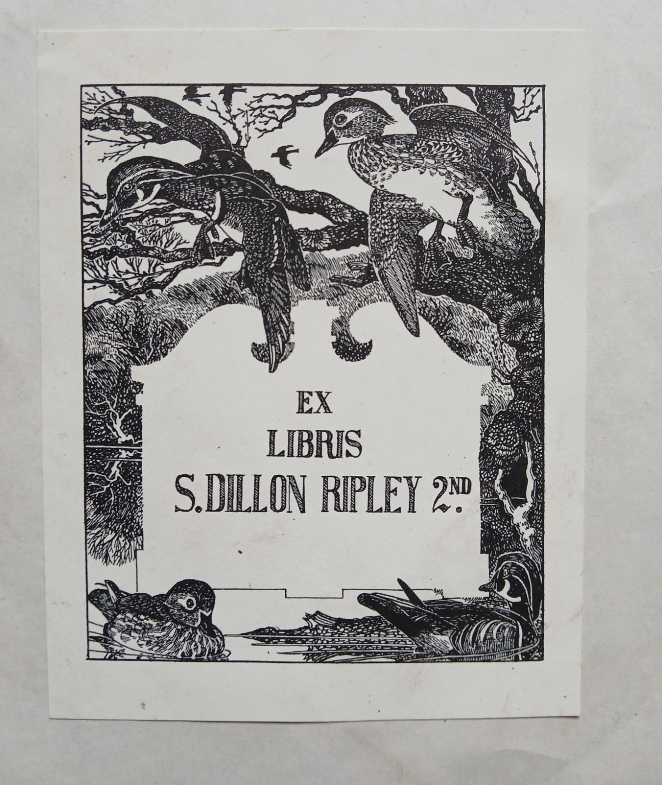 Ex-Libris bookplate S. Dillon Ripley II. 1913-2001. Conservationist | eBay UK