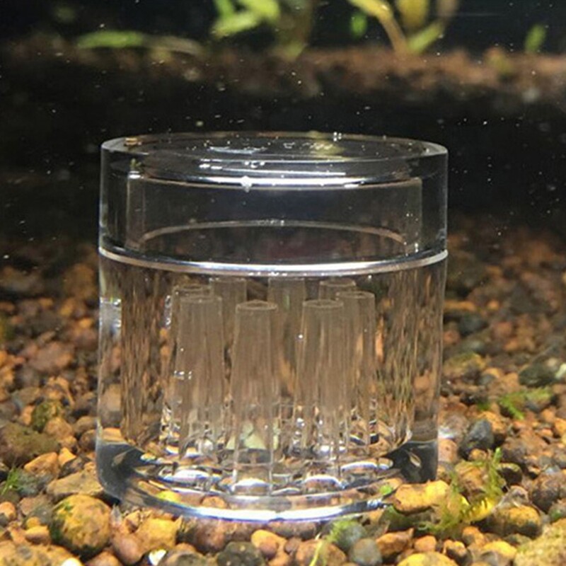 Planarian Trap Leeches Catcher Aquatic Worm Trap Transparent Acrylic ...