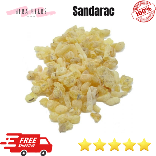 Premium Organic Sandarac Gum Tetraclinis Articulata incense resin سندرك ...