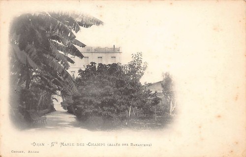 Algérie - ORAN - Pensionnat Sainte Marie des Champs - Allée des ...